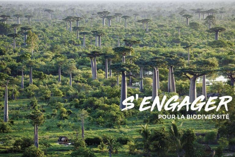 100 raisons de planter – Fondation Yves Rocher