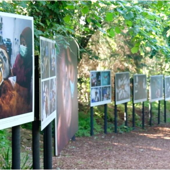 Fondation Yves Rocher appel à projet : candidatez au programme Terre de ...