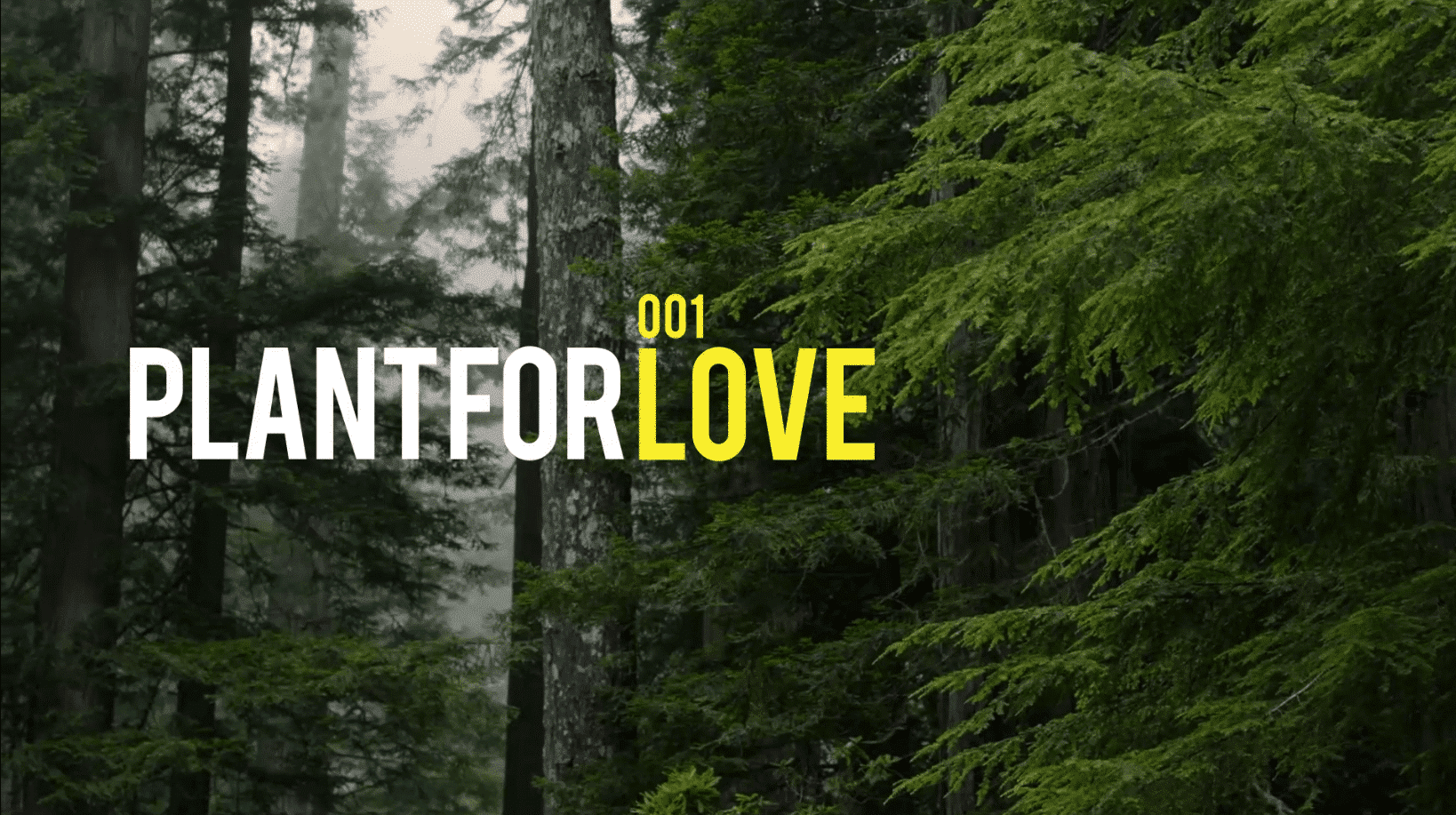 - Fondation Yves Rocher -115508