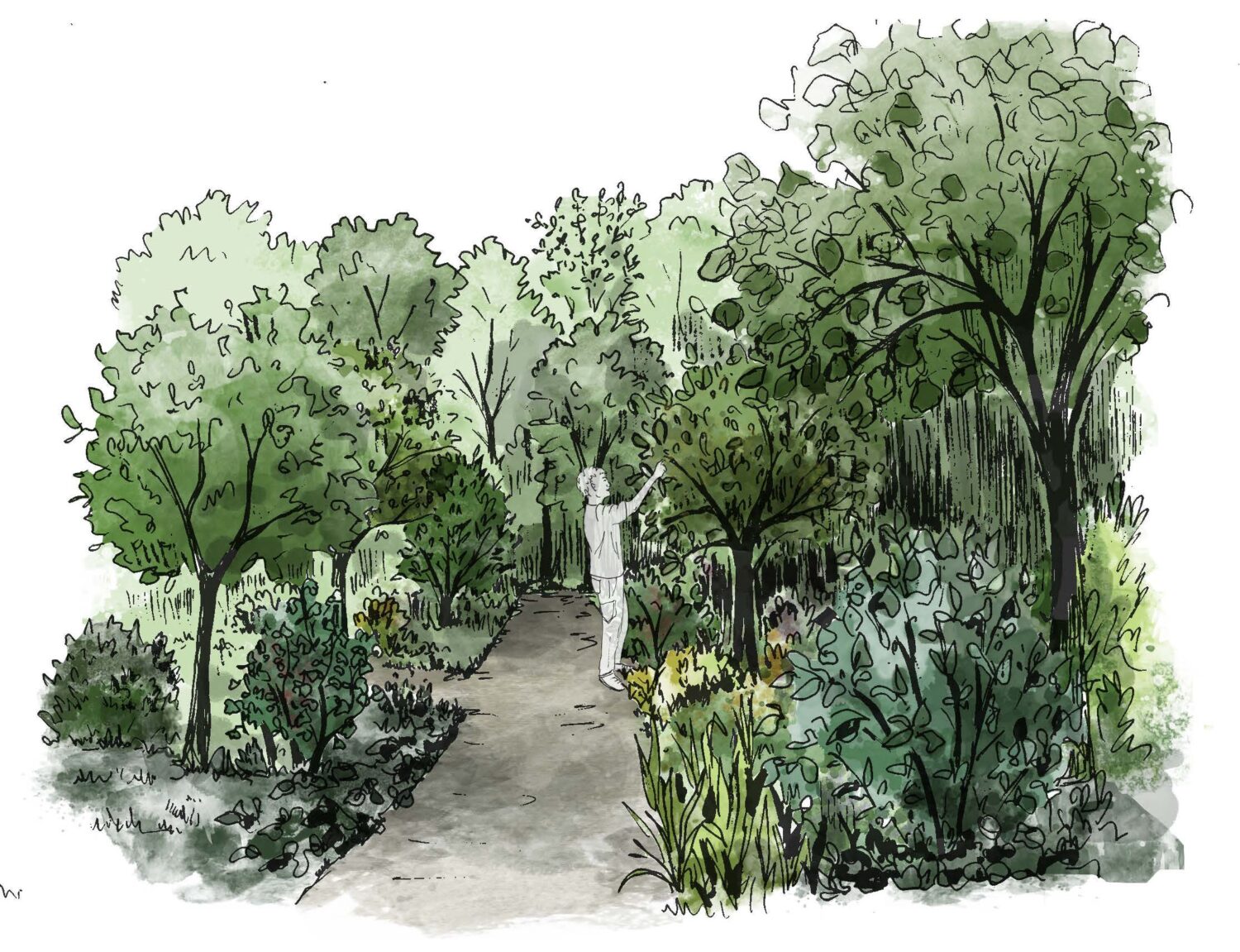 Engagement pour la biodiversité - Fondation Yves rocher