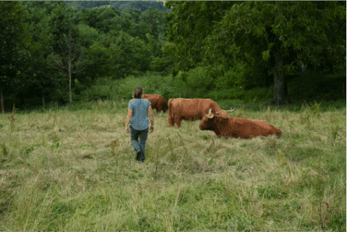Sylvie Monier - Fondation Yves Rocher -127382